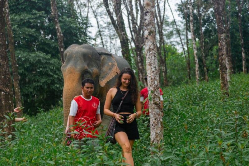 Khaolak: Begin the Day with Elephants - Walk and Feed Tour - What’s Included and What’s Not