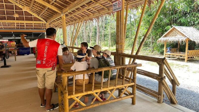 Khaolak: Begin the Day with Elephants - Walk and Feed Tour - Final Thoughts: Who Should Consider This Tour?