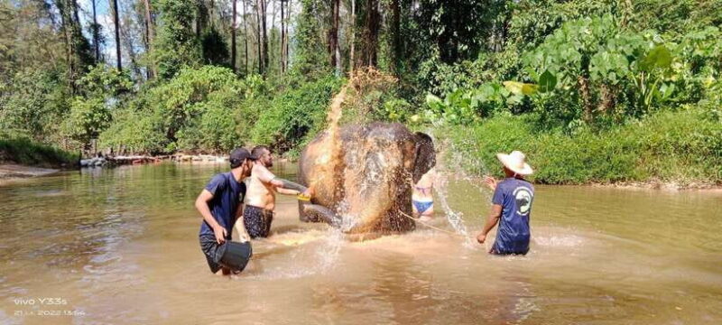 Khaolak: Elephant Interaction in Sanctuary with Bamboo Raft - What Makes This Tour Stand Out?