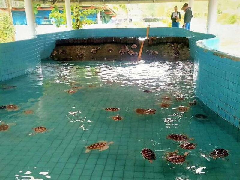 Khaolak: Elephant Interaction in Sanctuary with Bamboo Raft - FAQ