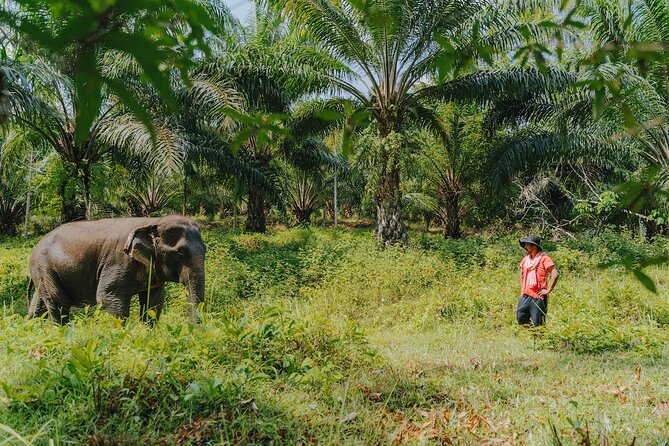 Khaolak Elephant Sanctuary, Cooking Class and Waterfall Tour - Highlights and Practical Details