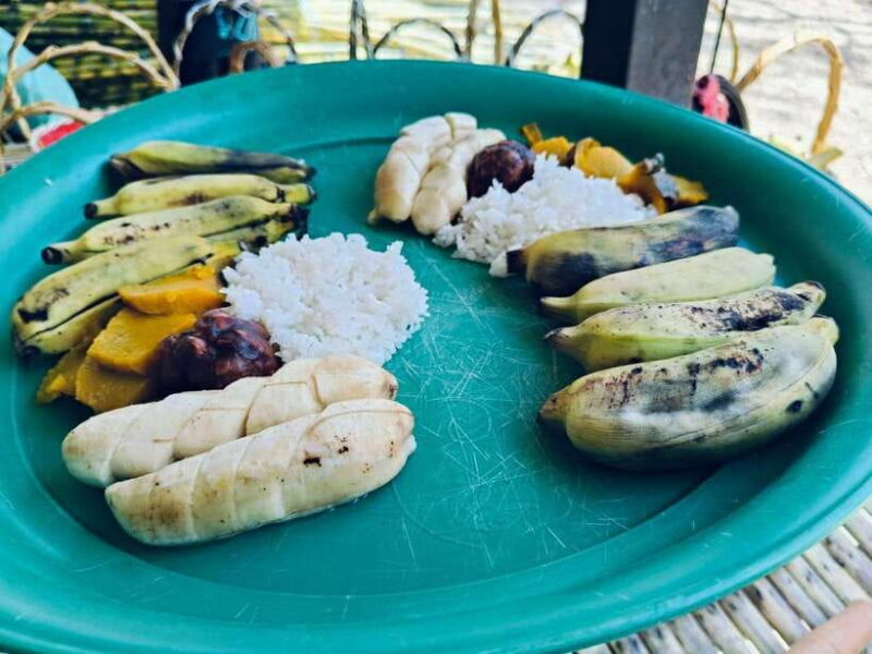 Khaolak Ethical Elephant Sanctuary Snack Making & Feeding - A Closer Look at the Experience