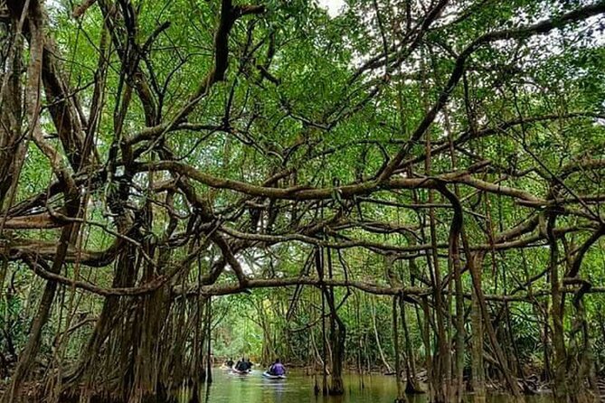 Khaolak Nature & Culture Tour with Lunch - What Makes This Tour Stand Out?