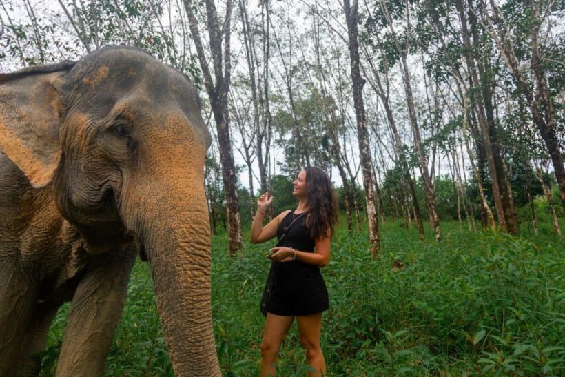Khaolak: Sunset Elephant Walk with Complimentary Cocktail - A Closer Look at the Experience