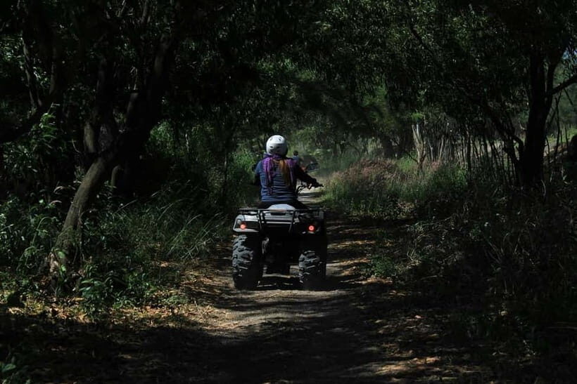 KhaoSok: Green Trails ATV Safari in Khao Sok - Final Thoughts: Who Should Consider This Tour?