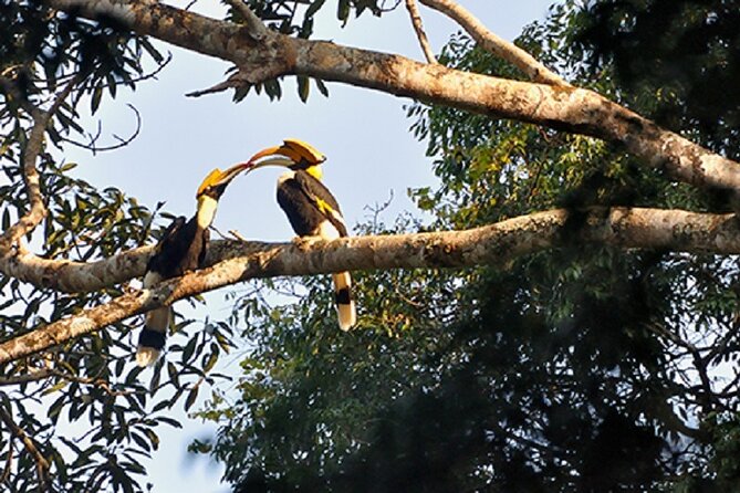 Khaosok Jungle Exploration from Khaolak - Stop 3: Lunch in the Park