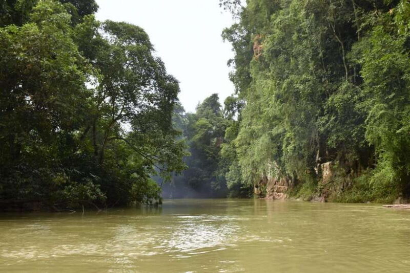 Khaosok National Park: 4-Day and 3-Night Package Trip - The Sum Up: A Natural Escape Worth Considering