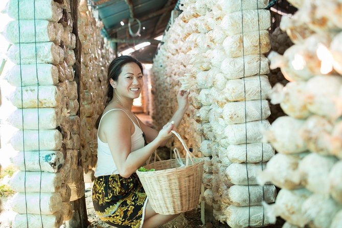 Khmer Cooking Class at a Local's Home in Krong Siem Reap - What to Expect from Your Khmer Cooking Class