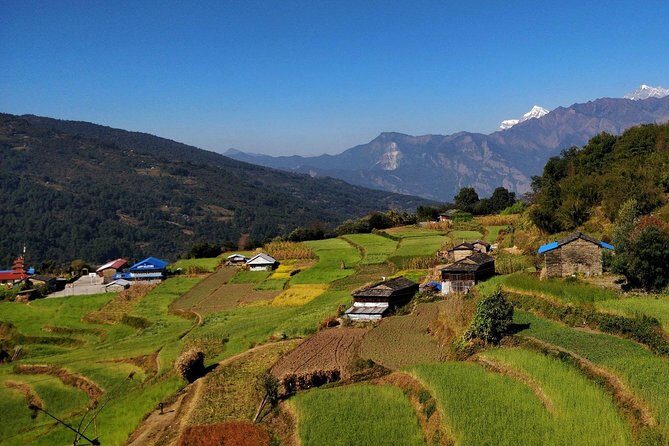 Khopra Danda and Khayar Lake Private Guided Trek - A Deep Dive into the Itinerary