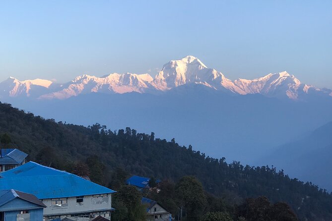 Khopra Danda Trek - Why This Trek Offers Great Value