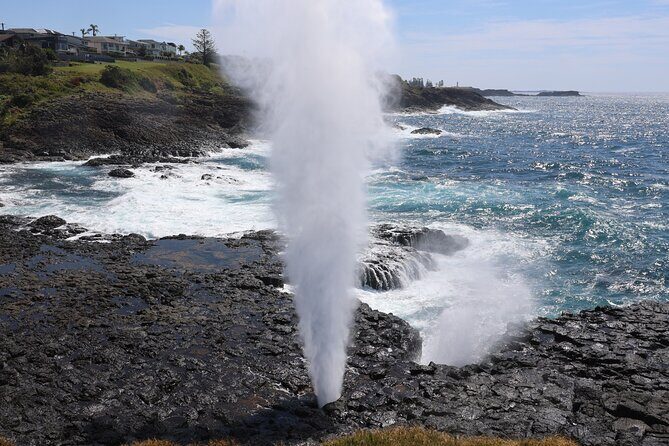 Kiama Blowholes, Sea Cliff Bridge and Royal National Park tour - Practical Details That Matter
