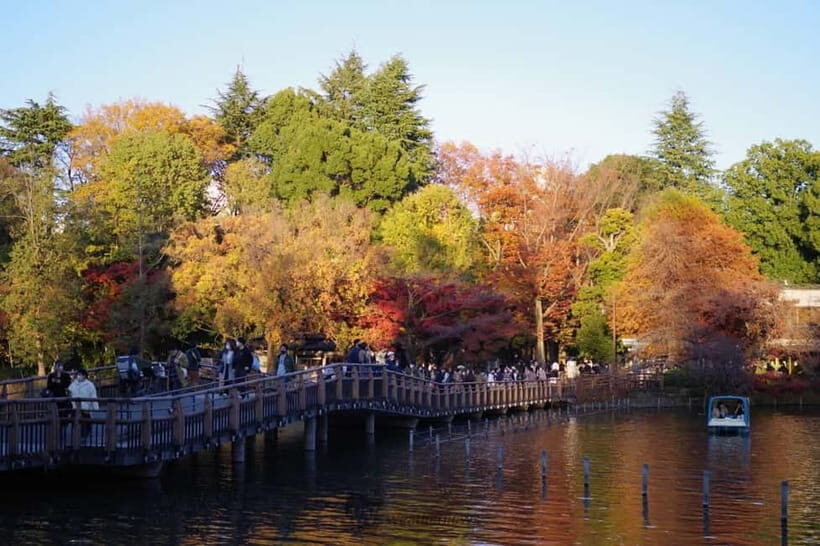 Kichijoji Slow Life: Coffee, Culture & Green Escapes - Final Thoughts: Who Will Love This Tour?