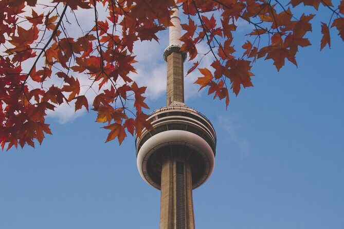 Kickstart Your Trip in Toronto - An In-Depth Look at the Experience