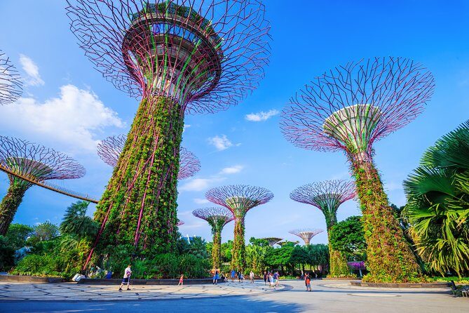 Kickstart Your Trip To Singapore With A Local: Private & Personalized - The Experience from the Traveler’s Perspective