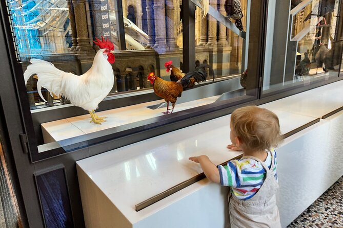 Kid-Friendly Natural History Museum & Dinosaurs Private Guided Tour in London - Meeting and Pickup Details