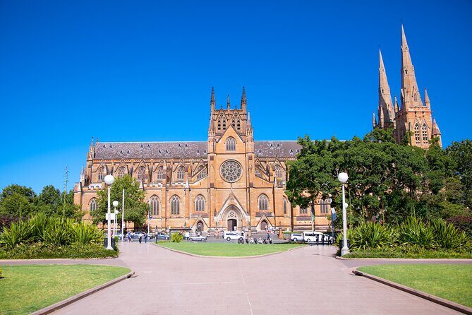 Kid-Friendly Sydney City Private Guided Tour for Families - Practical Considerations and Value