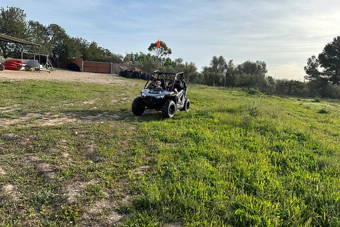 Kids Buggy Experience in Salou - Final Thoughts