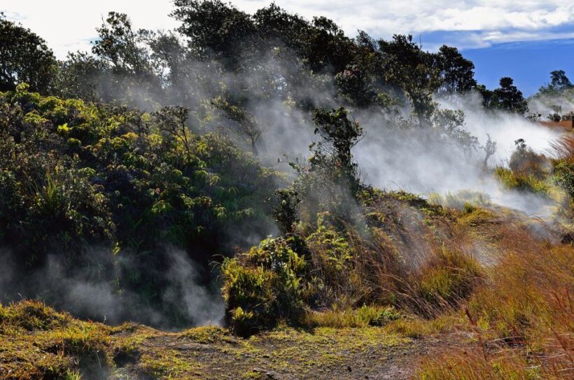 Kilauea: Volcanoes National Park Guided Hike - Final Thoughts