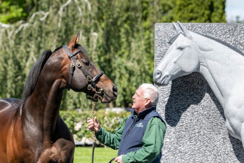 Kildare: Irish National Stud & Gardens - Tour Logistics and Practical Tips