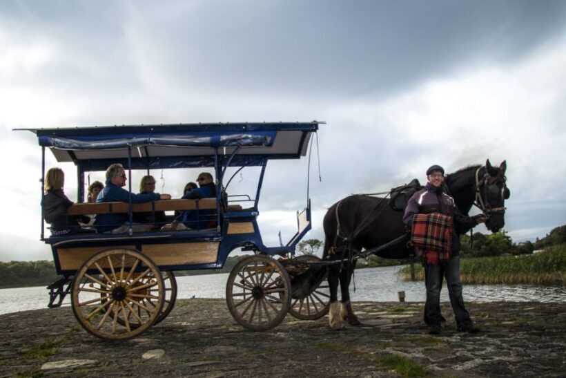 Killarney: 1-Hour Jaunting Car Horse and Carriage Tour - Key Points
