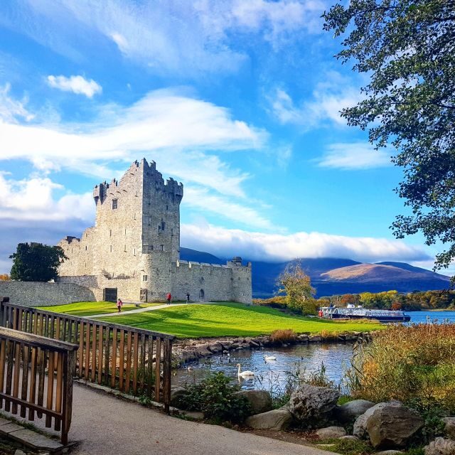Killarney: 1-Hour Jaunting Car Horse and Carriage Tour - The Review from Travelers