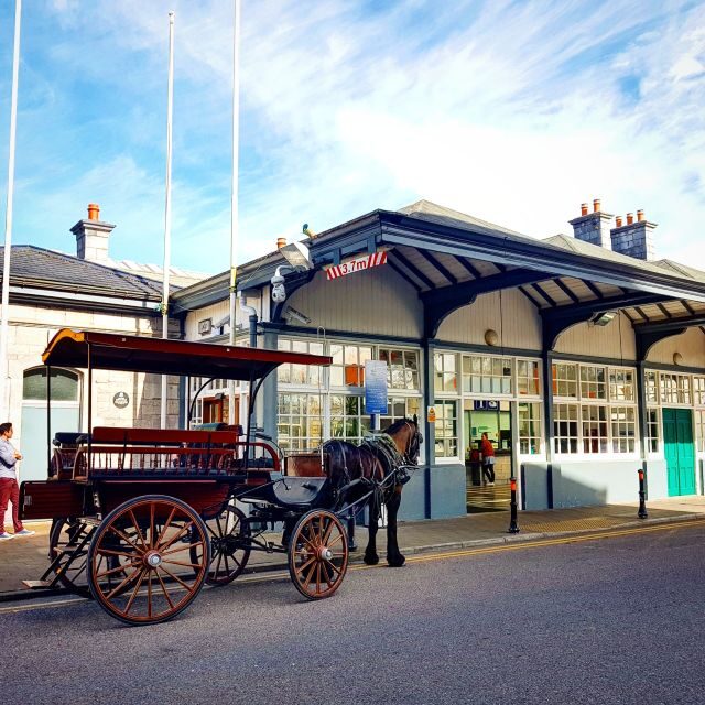 Killarney: 1-Hour Jaunting Car Horse and Carriage Tour - The Sum Up