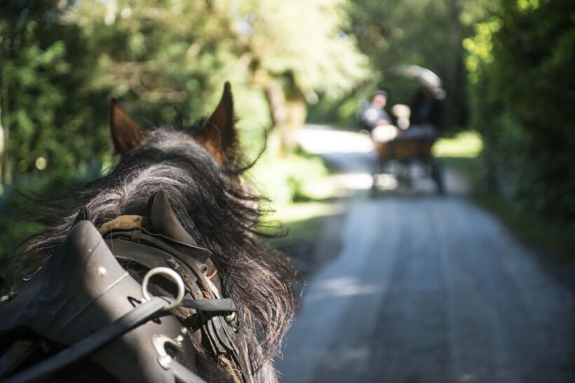 Killarney: 1-Hour Jaunting Car Horse and Carriage Tour - Frequently Asked Questions