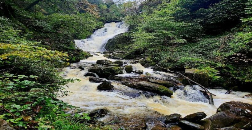 Killarney Area Half Day Tour - Who Will Love This Tour?