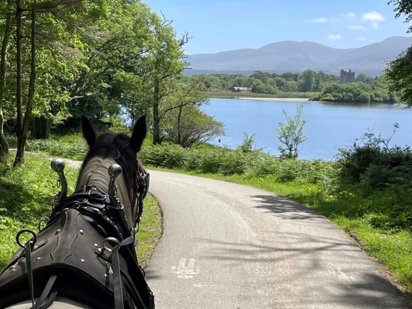 Killarney Carriage Tours National Park and Lakes - Who Should Consider This Tour?
