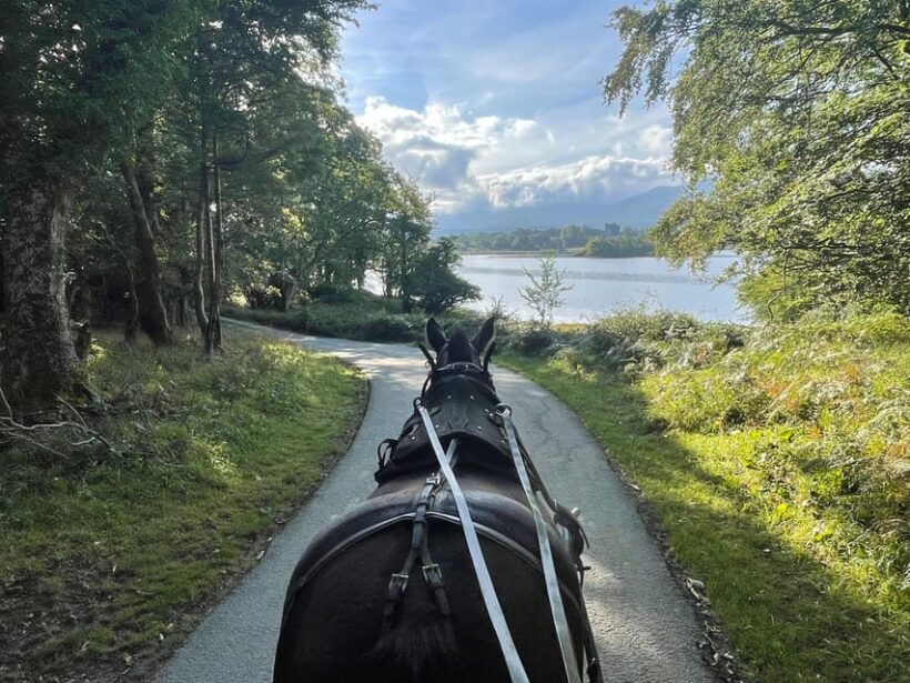 Killarney Carriage Tours National Park and Lakes - FAQs
