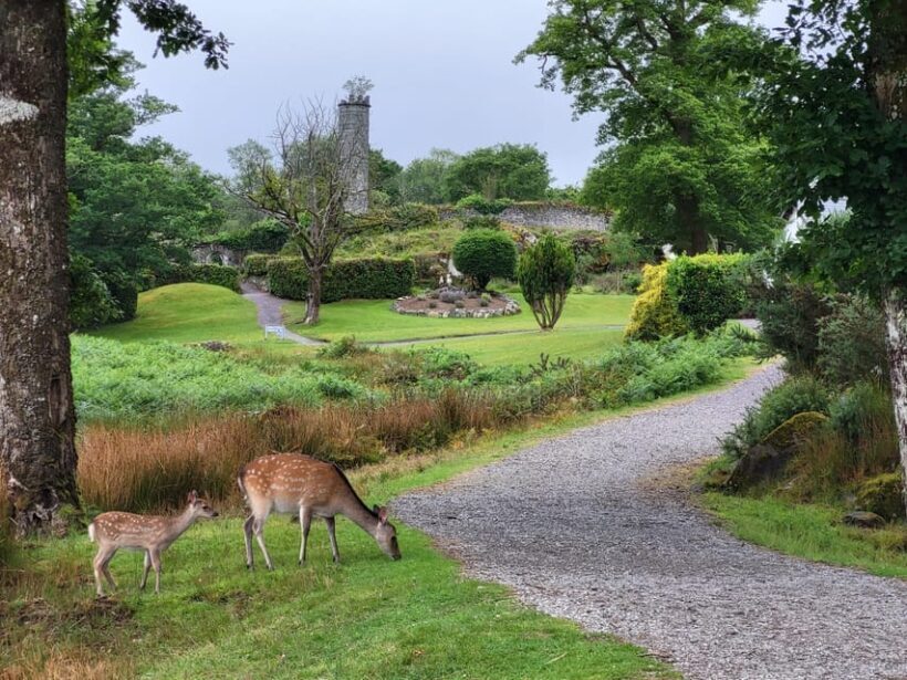 Killarney: Gap of Dunloe Day Tour - Practical Details & Tips