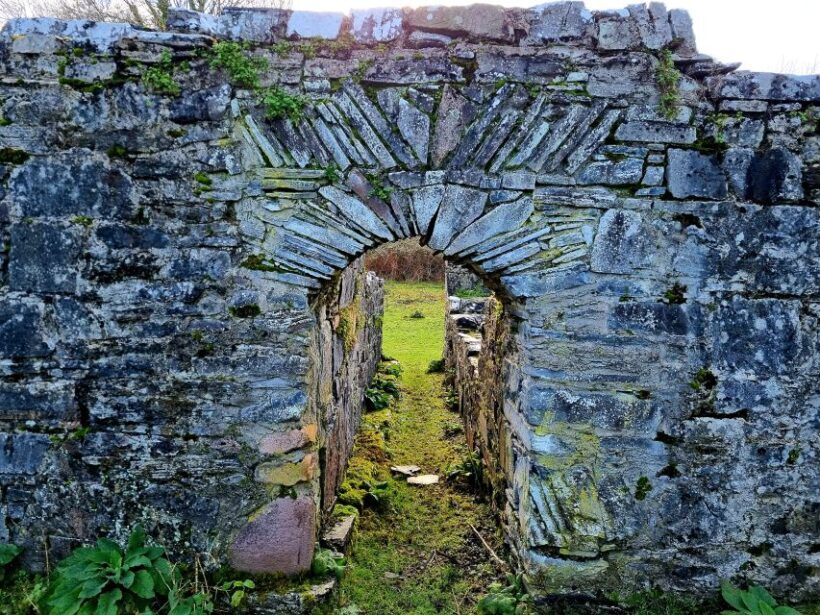 Killarney: Guided Boat Tour to Innisfallen Island - The Bottom Line: Who Should Consider This Tour?