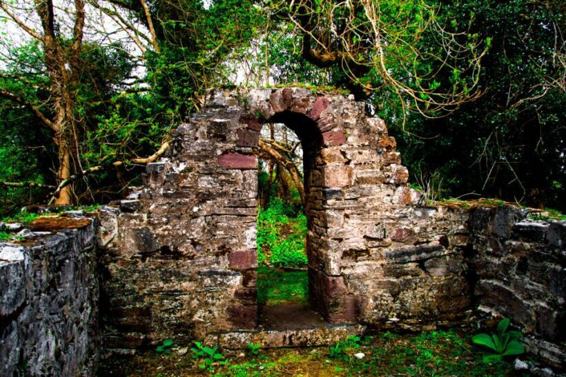 Killarney: Guided Boat Tour to Innisfallen Island - The Sum Up