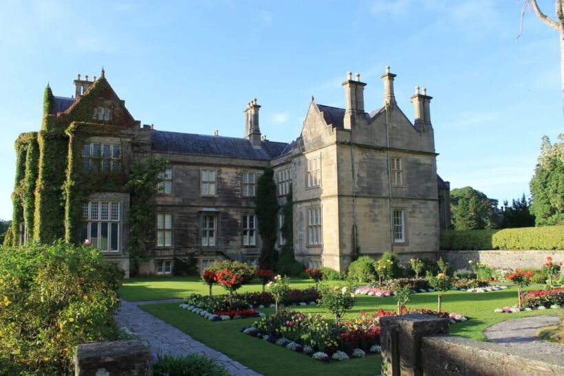 Killarney: Hop-On Hop-Off Bus to Killarney National Park - Who Will Love This Experience