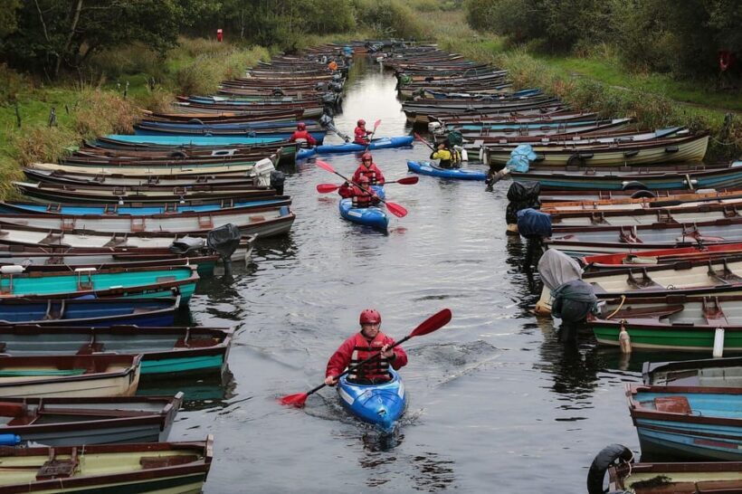 Killarney: Hop-On Hop-Off Bus to Killarney National Park - Final Thoughts