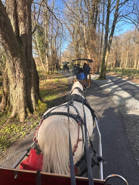 Killarney Jaunting Car Tour - Key Points