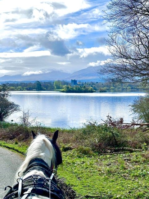 Killarney Jaunting Car Tour - Who Should Consider This Tour?