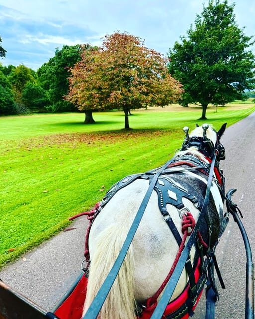 Killarney Jaunting Car Tour - Final Thoughts: Is It Worth It?