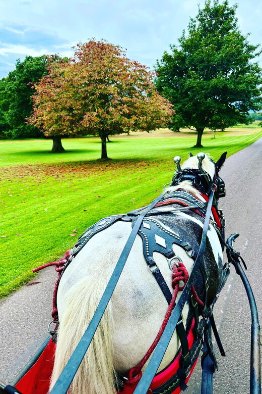 Killarney Jaunting Car Tour - FAQs