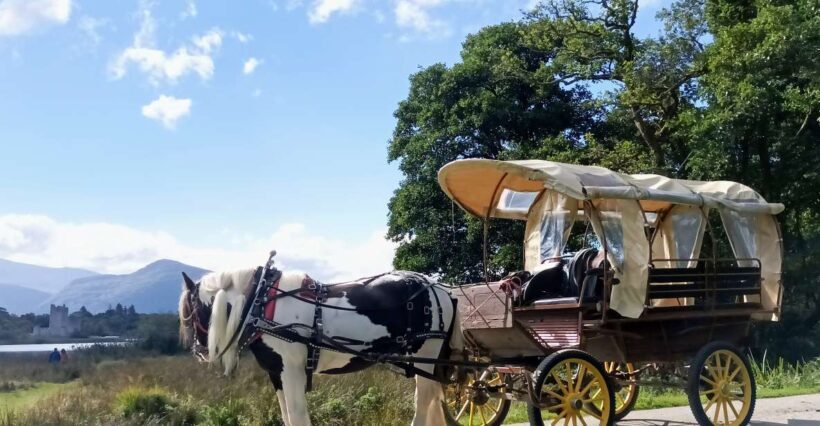 Killarney: Killarney National Park Private Tour - Introduction to the Experience