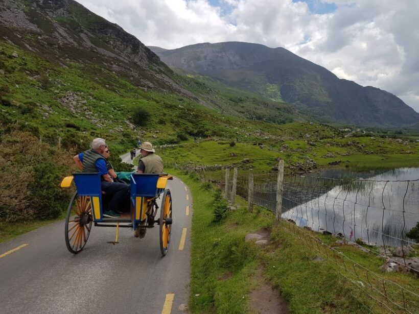 Killarney: Lakes of Killarney Boat Tour with Transfer - The Sum Up