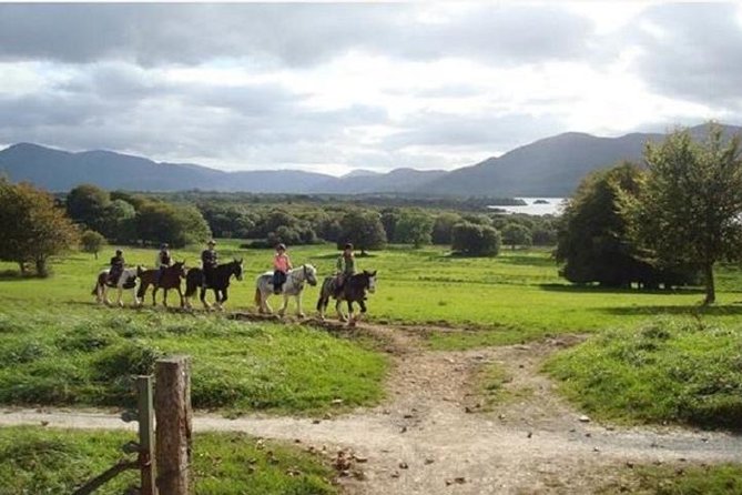 Killarney National Park Horseback Ride. Co Kerry. Guided. 1 Hour. - Meeting Point and Logistics