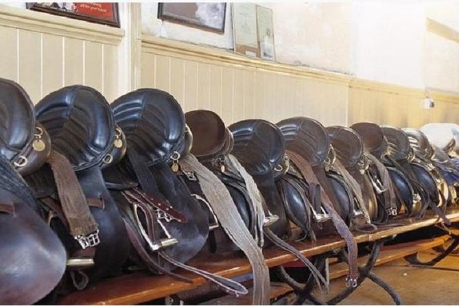 Killarney National Park Horseback Ride. Co Kerry. Guided. 1 Hour. - Customer Reviews and Feedback