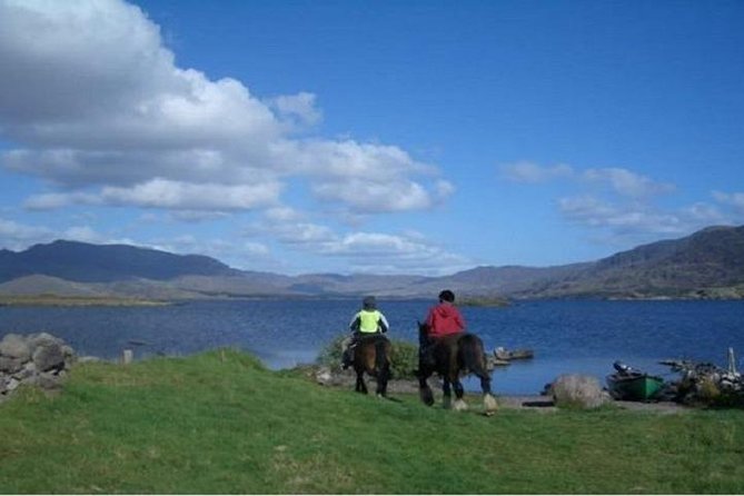 Killarney National Park Horseback Ride. Co Kerry. Guided. 1 Hour. - Exploring Lough Lein and Rugged Mountain Views