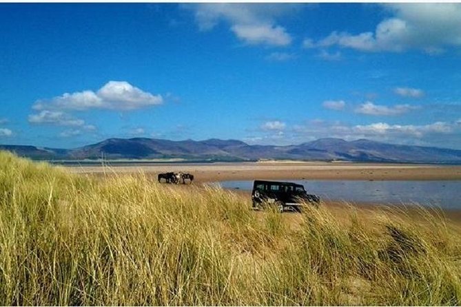 Killarney National Park Horseback Ride. Co Kerry. Guided. 1 Hour. - Suitable for All Riding Abilities