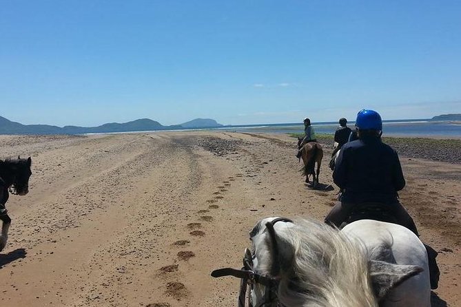 Killarney National Park Horseback Ride. Co Kerry. Guided. 2 Hours. - Requirements and Restrictions