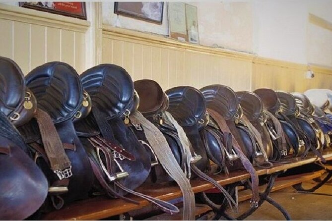 Killarney National Park Horseback Ride. Co Kerry. Guided. 3 hours. - Pricing and Value