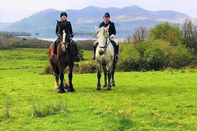 Killarney National Park Horseback Ride. Co Kerry. Guided. 3 hours. - Who Will Love This Tour?