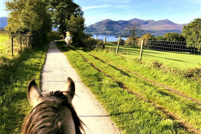 Killarney National Park Horseback Ride. Co Kerry. Guided. 3 hours. - Final Thoughts