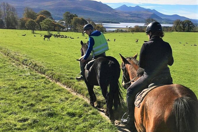 Killarney National Park Horseback Ride. Co Kerry. Guided. 3 hours. - Frequently Asked Questions